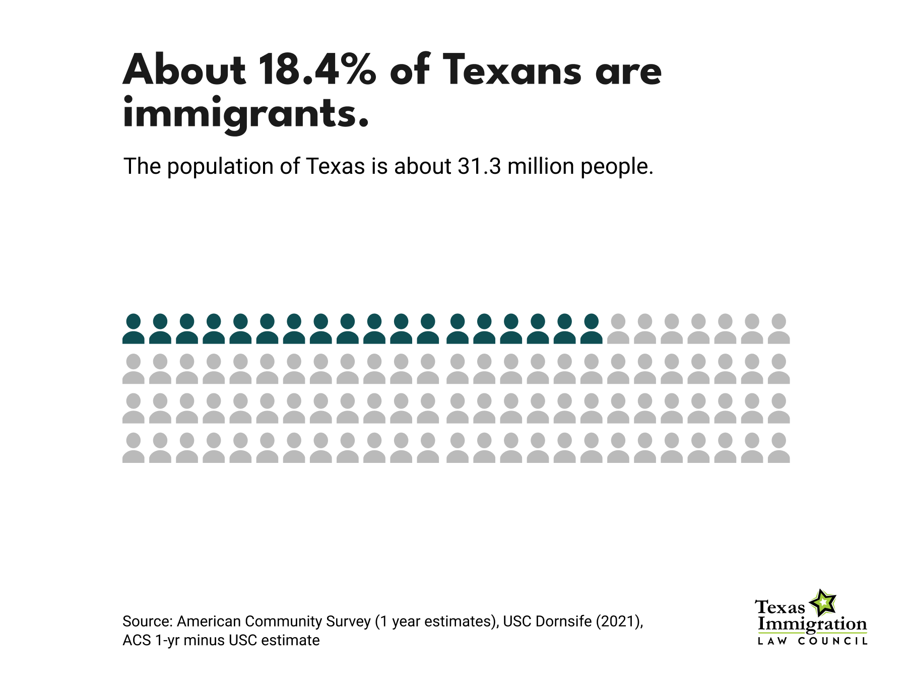 Texas Immigration Data Portal