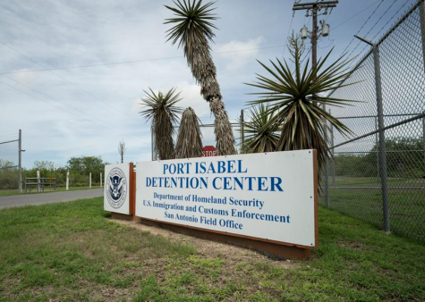 Texas Immigration Data Portal